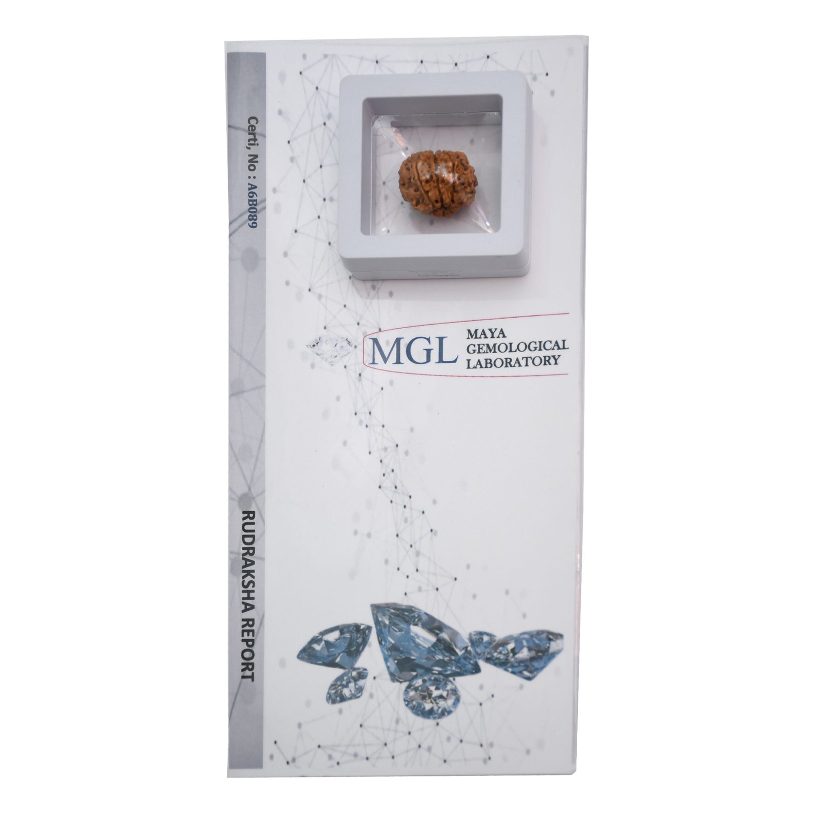 9 Face Rudraksha - Ujjain Rudraksha